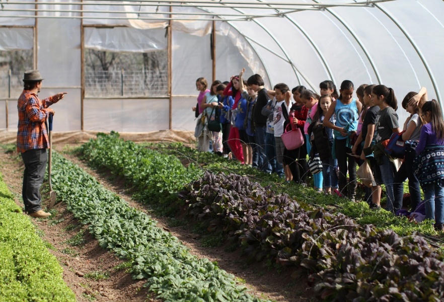 Youth + Experiential Learning on a Farm | Groundworks